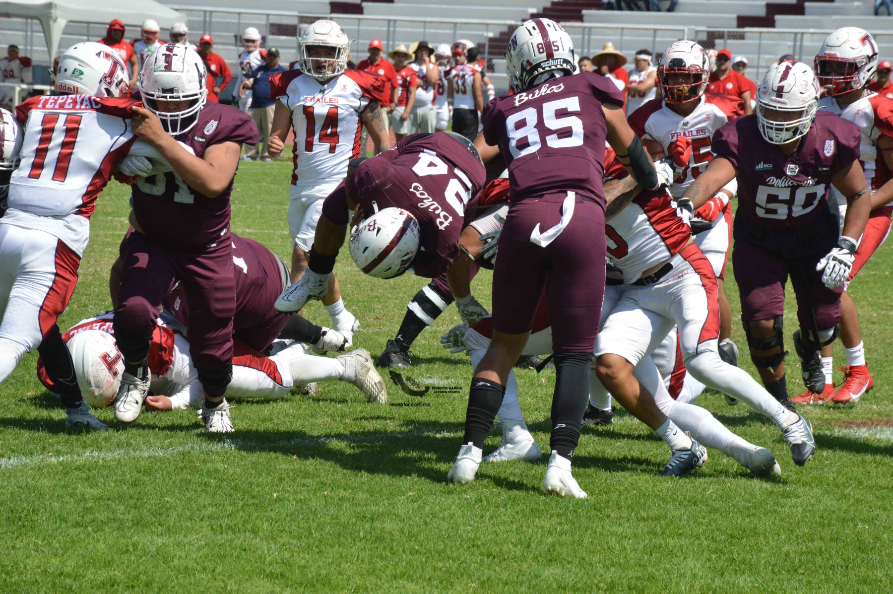 Búhos IPN vs Frailes Tepeyac | Fotos | Semana 8 | Liga Mayor ONEFA