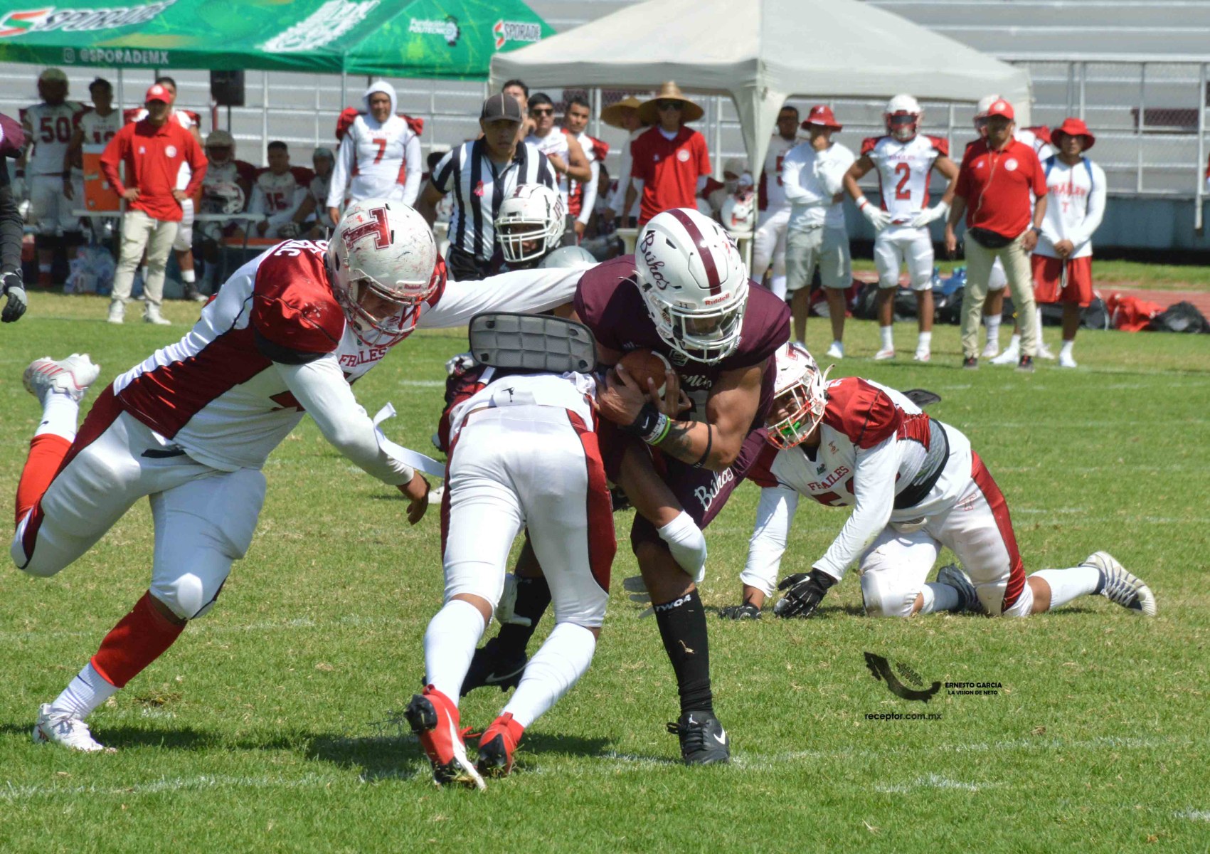 Búhos IPN vs Frailes Tepeyac | Fotos | Semana 8 | Liga Mayor ONEFA