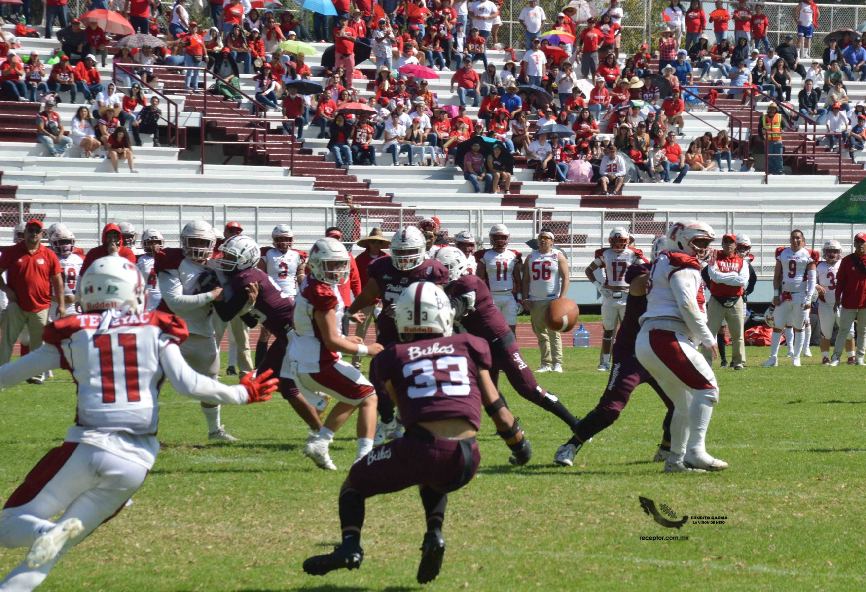 Búhos IPN vs Frailes Tepeyac | Fotos | Semana 8 | Liga Mayor ONEFA
