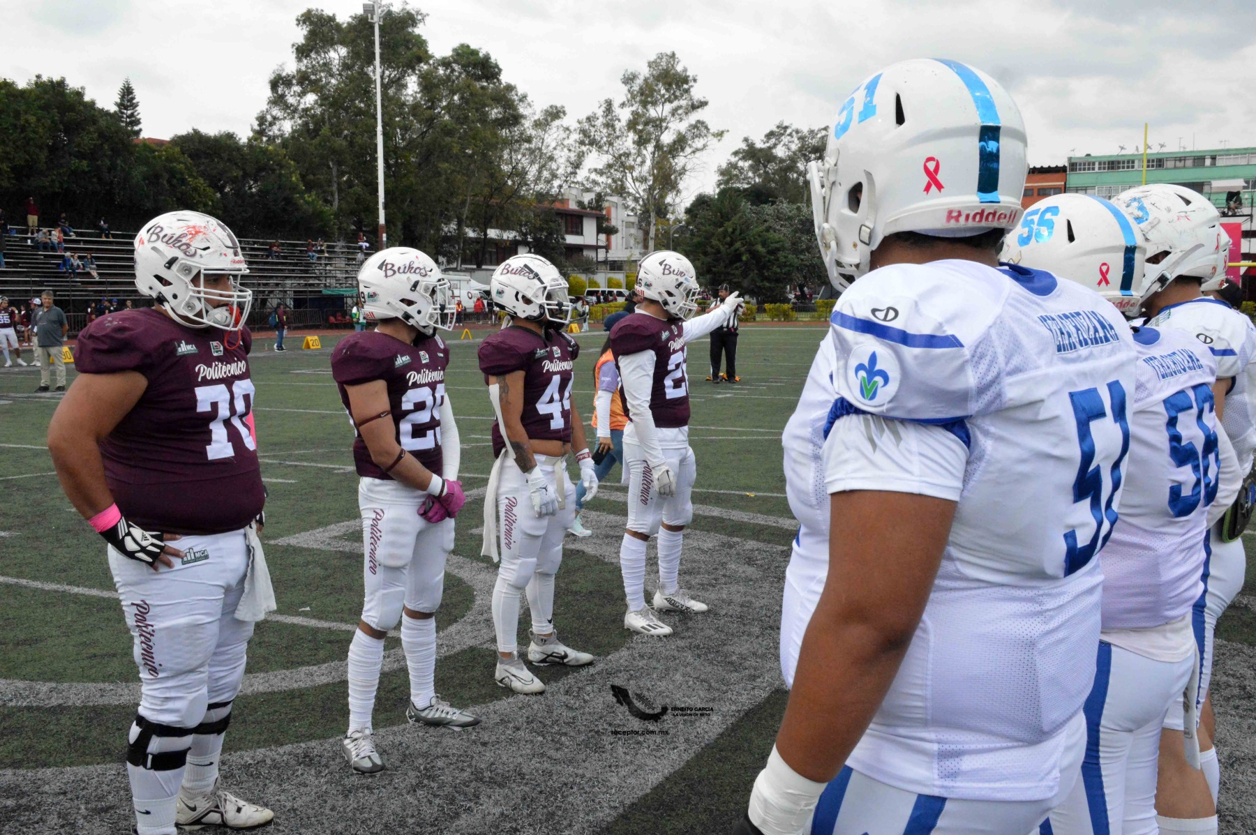FOTOS: Búhos IPN vuela 21-0 sobre Halcones UV | receptor