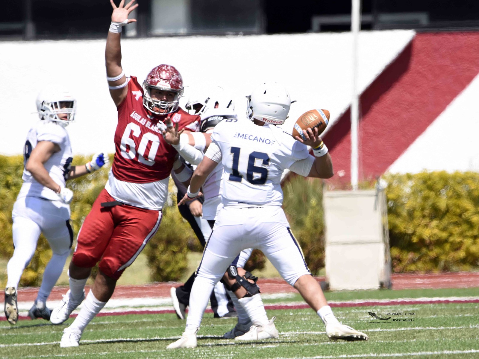 FOTOS: Águilas Blancas y Pumas Acatlán en scrimmage Intermedia 2025 ...