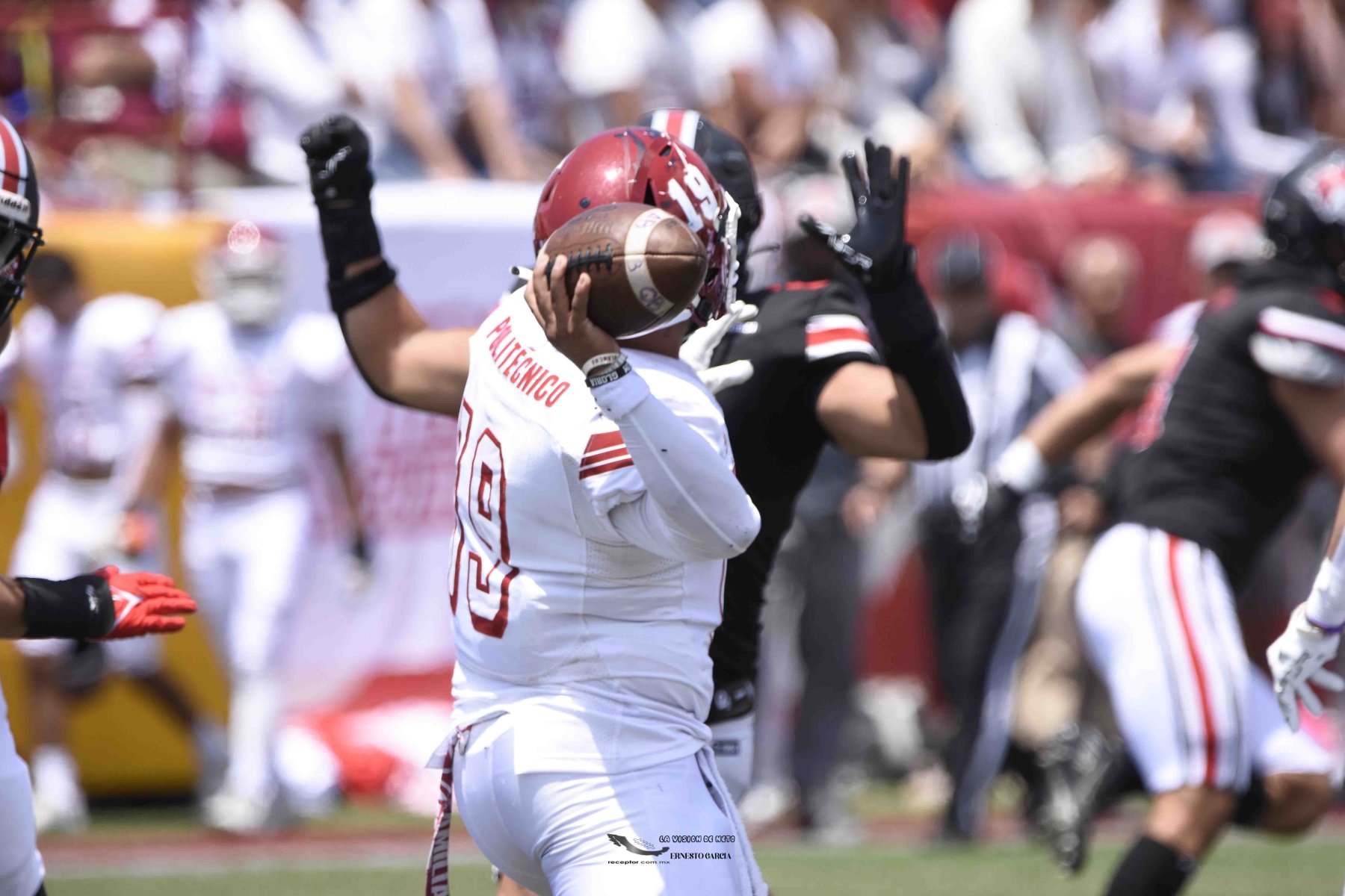 Linces UVM 27-14 Águilas Blancas IPN | FOTOS | Semana 2 ONEFA