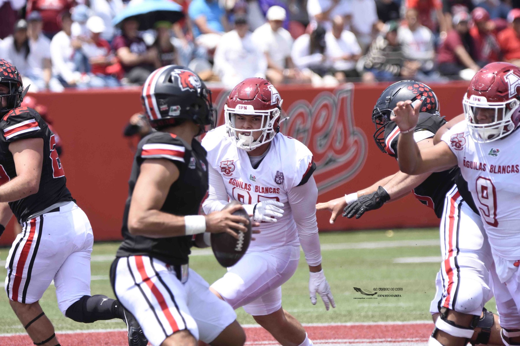 Linces UVM 27-14 Águilas Blancas IPN | FOTOS | Semana 2 ONEFA