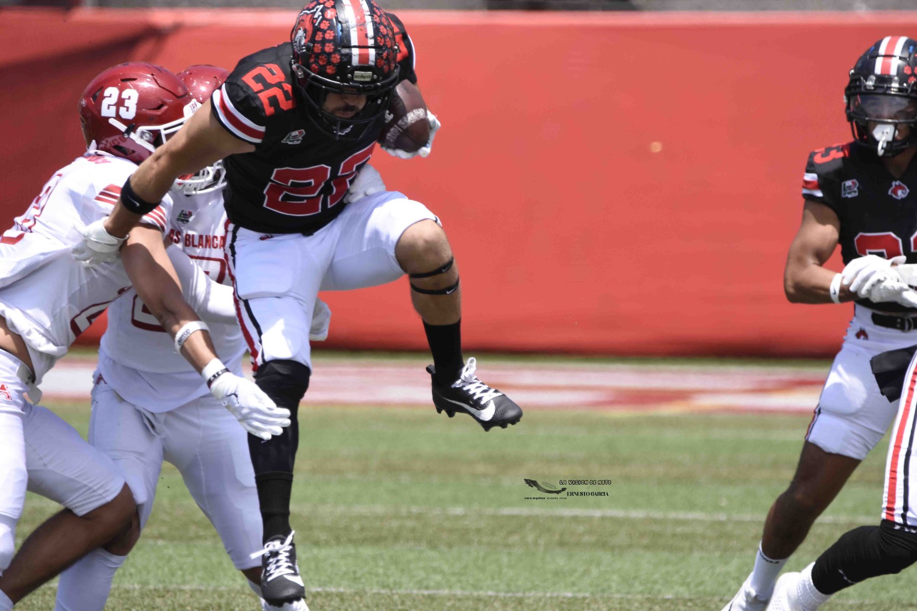 Linces UVM 27-14 Águilas Blancas IPN | FOTOS | Semana 2 ONEFA