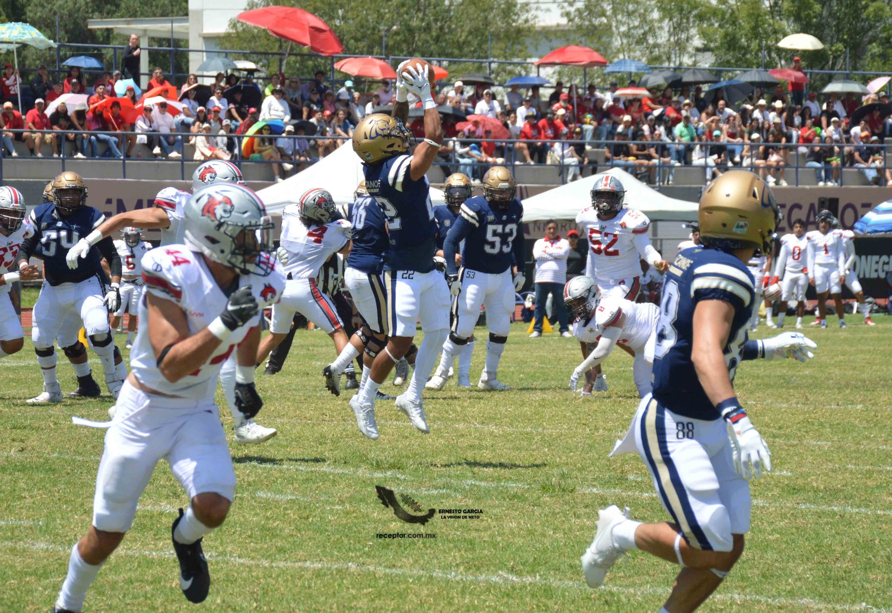 FOTOS: Pumas Acatlán y Linces UVM se combinan para 104 puntos, Semana 3 ...