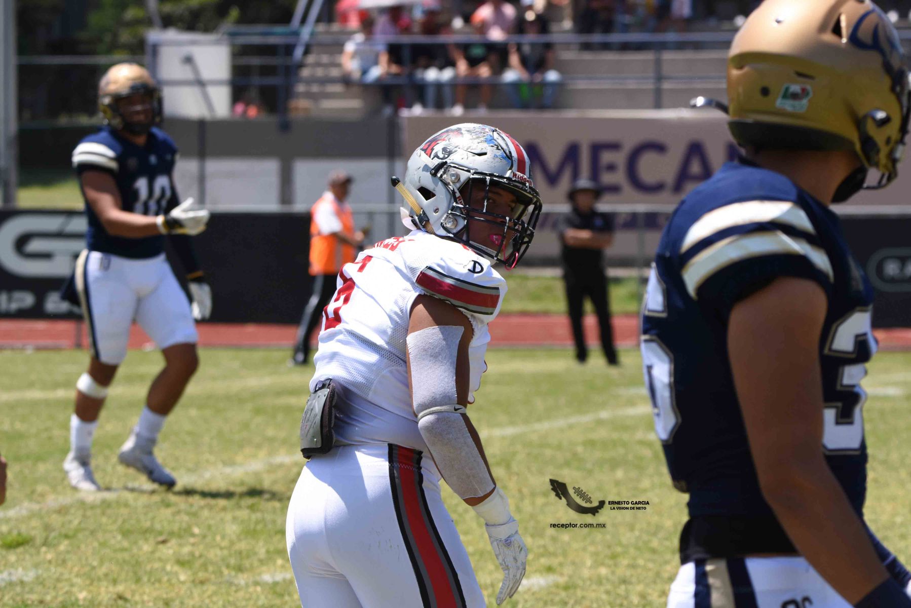 FOTOS: Pumas Acatlán y Linces UVM se combinan para 104 puntos, Semana 3 ...