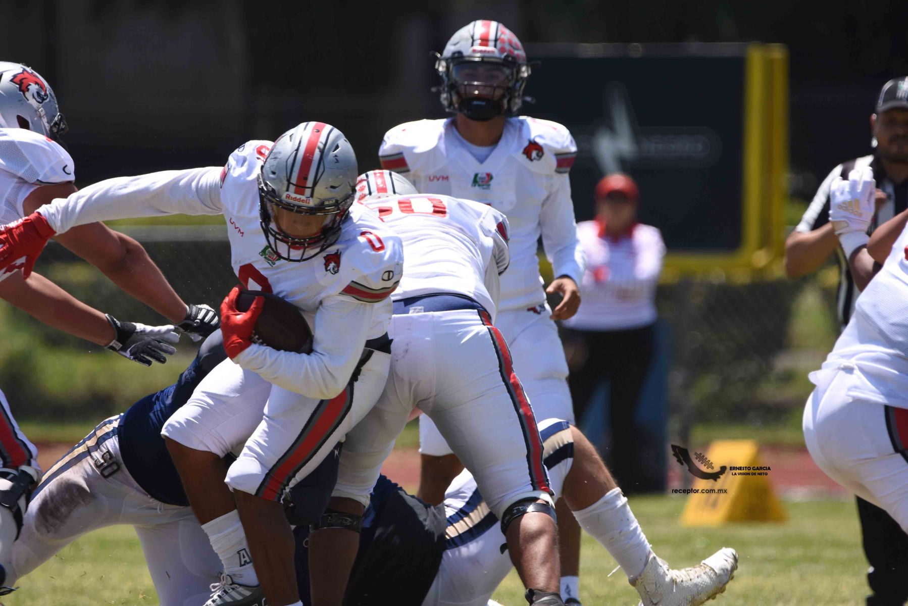FOTOS: Pumas Acatlán y Linces UVM se combinan para 104 puntos, Semana 3 ...
