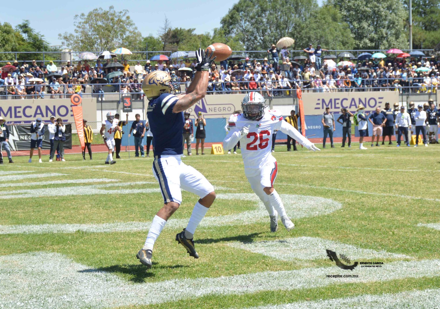 FOTOS: Pumas Acatlán y Linces UVM se combinan para 104 puntos, Semana 3 ...