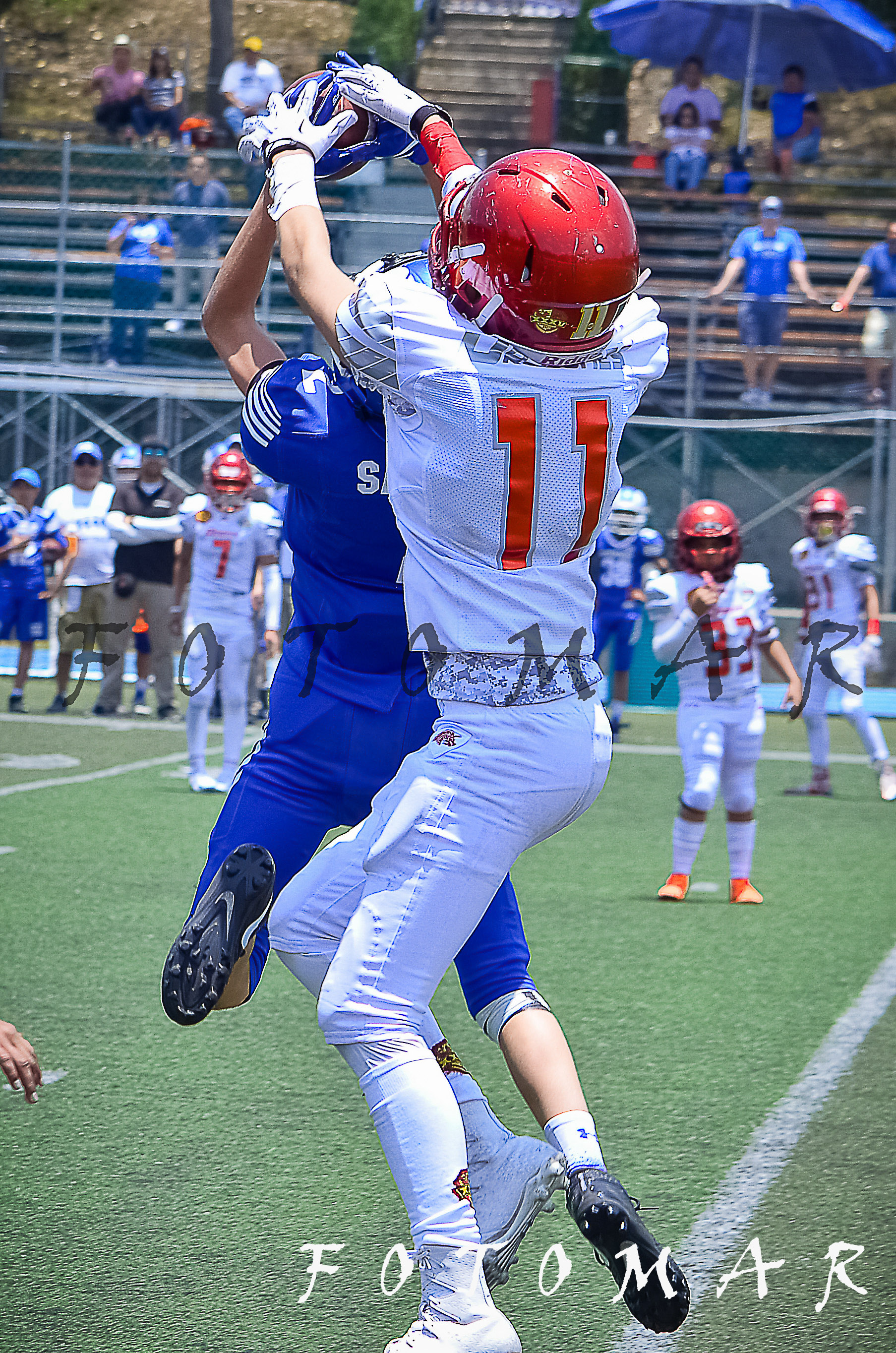 STFE VS DRAGON TAURO (30) | receptor