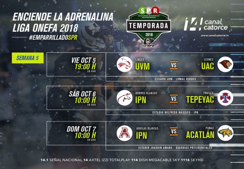 ONEFA y el regreso del fútbol americano colegial al mainstream ...