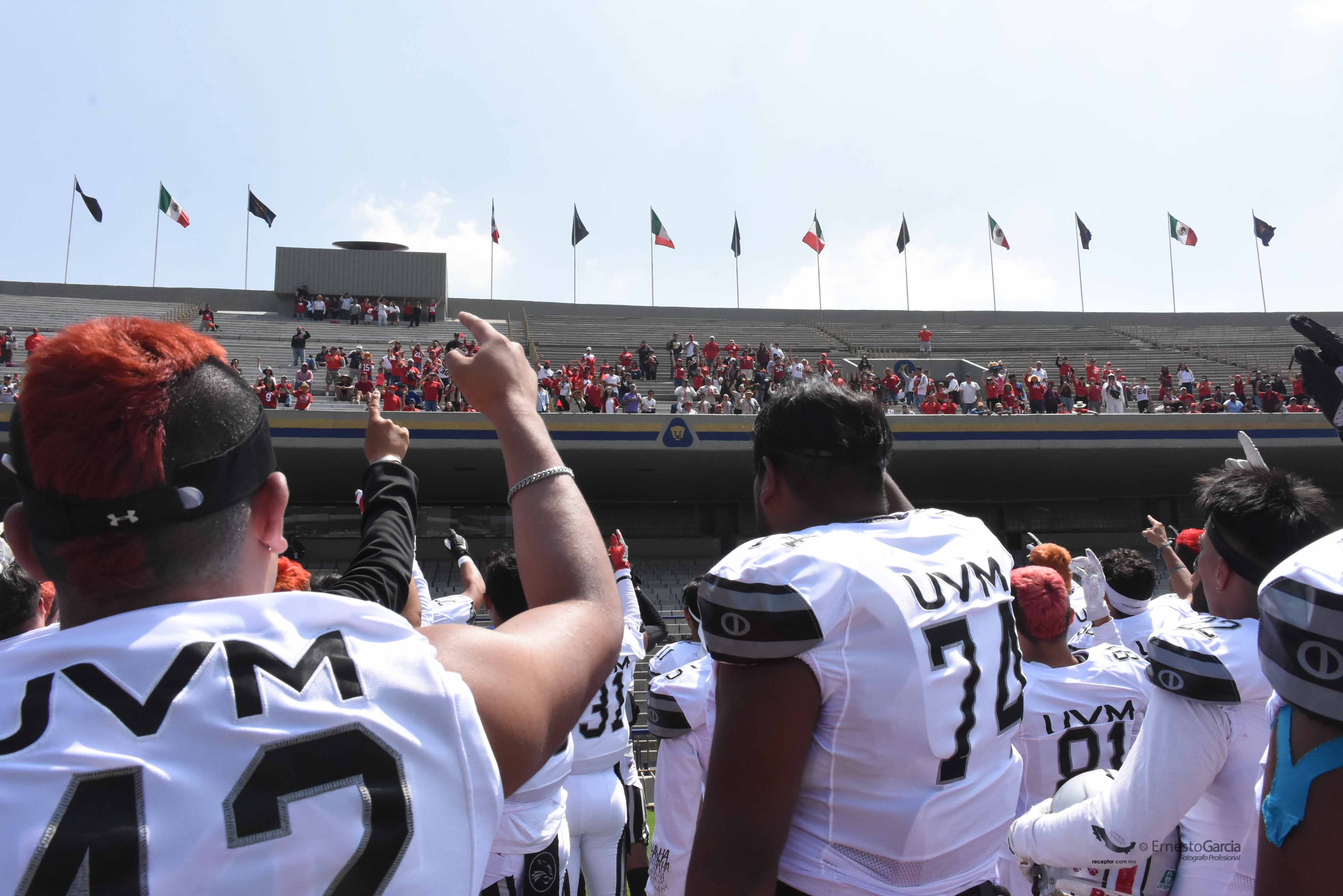 pumas-cu-linces-uvm-2019-11 | receptor