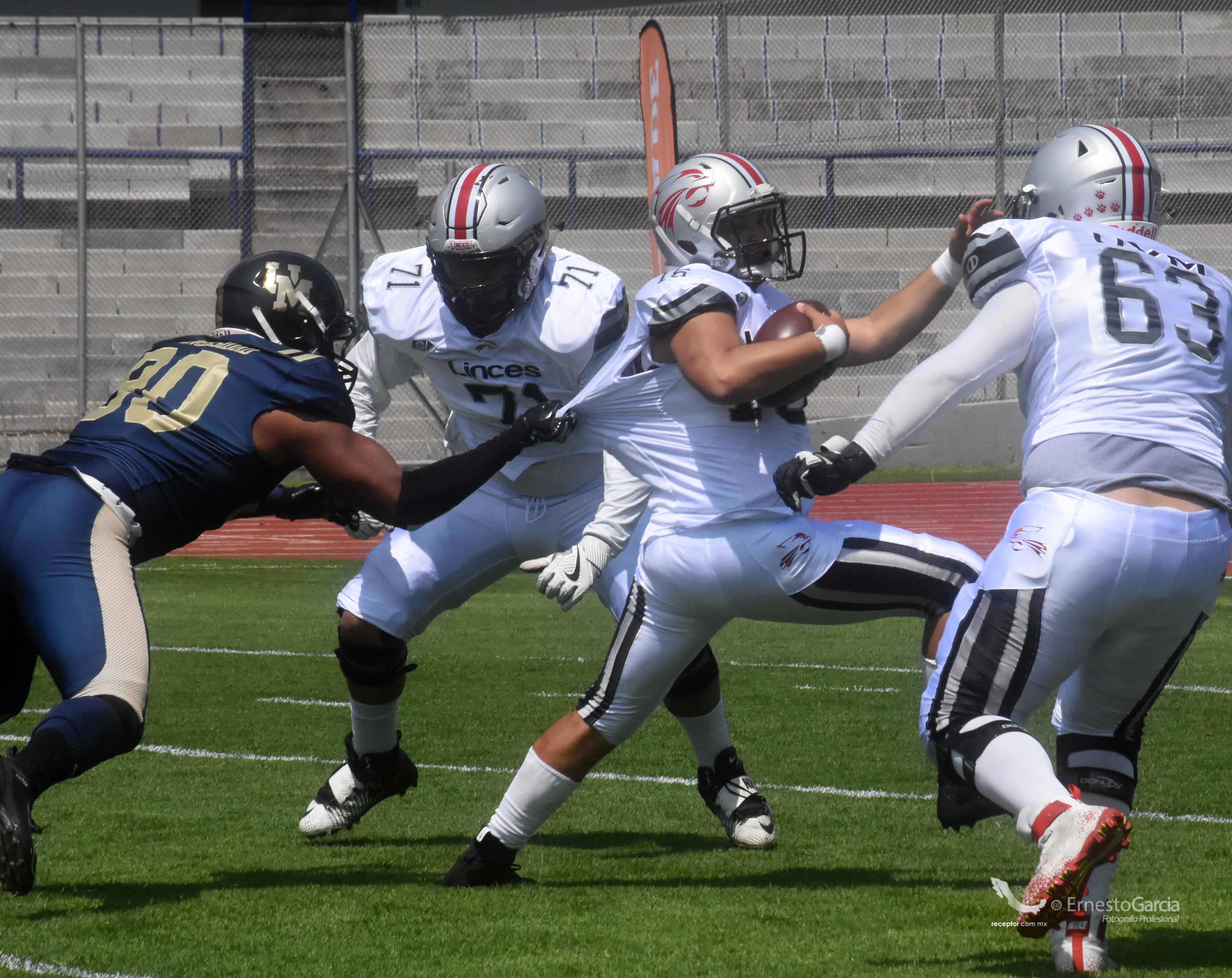 pumas-cu-linces-uvm-2019-24 | receptor