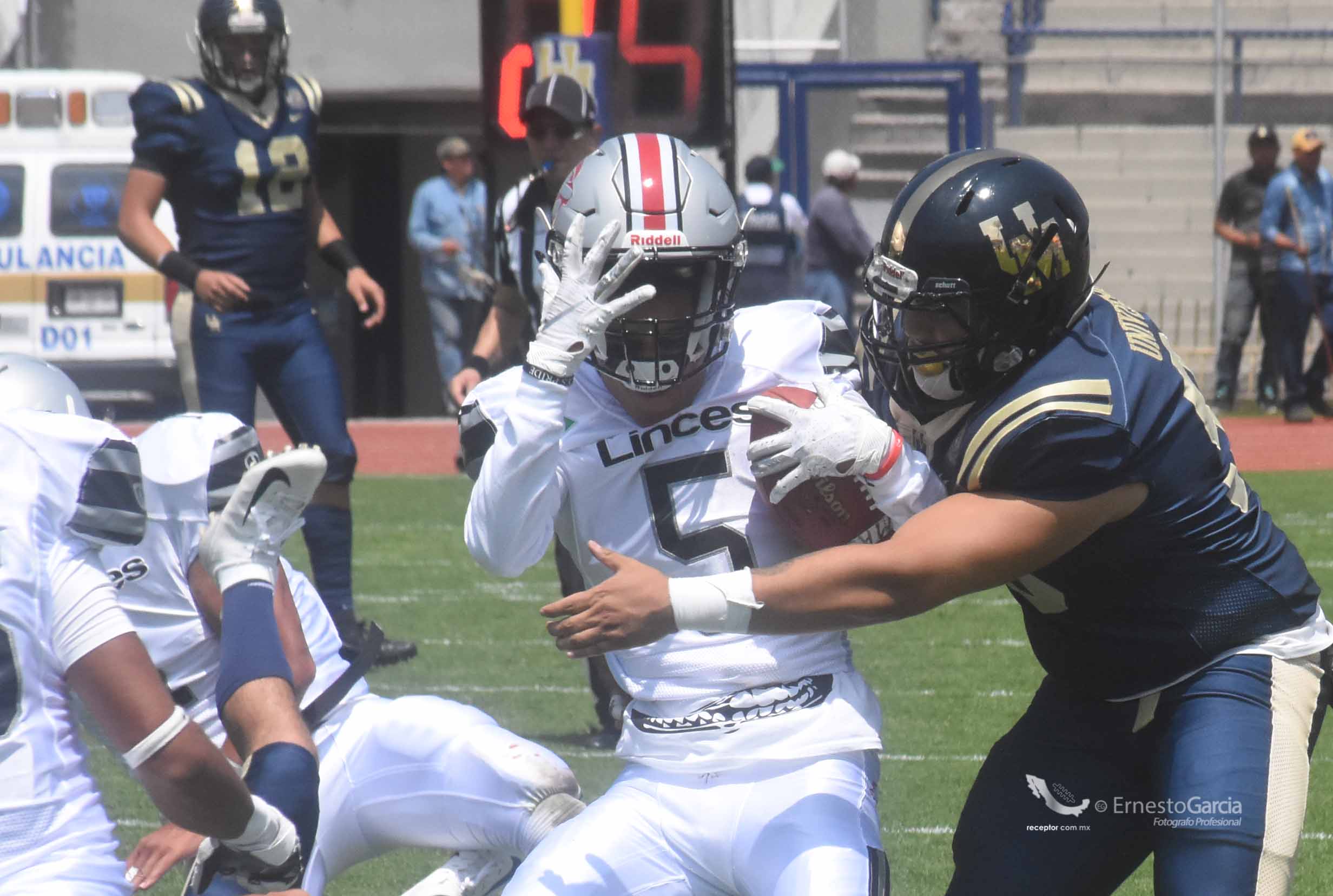 pumas-cu-linces-uvm-2019-41 | receptor