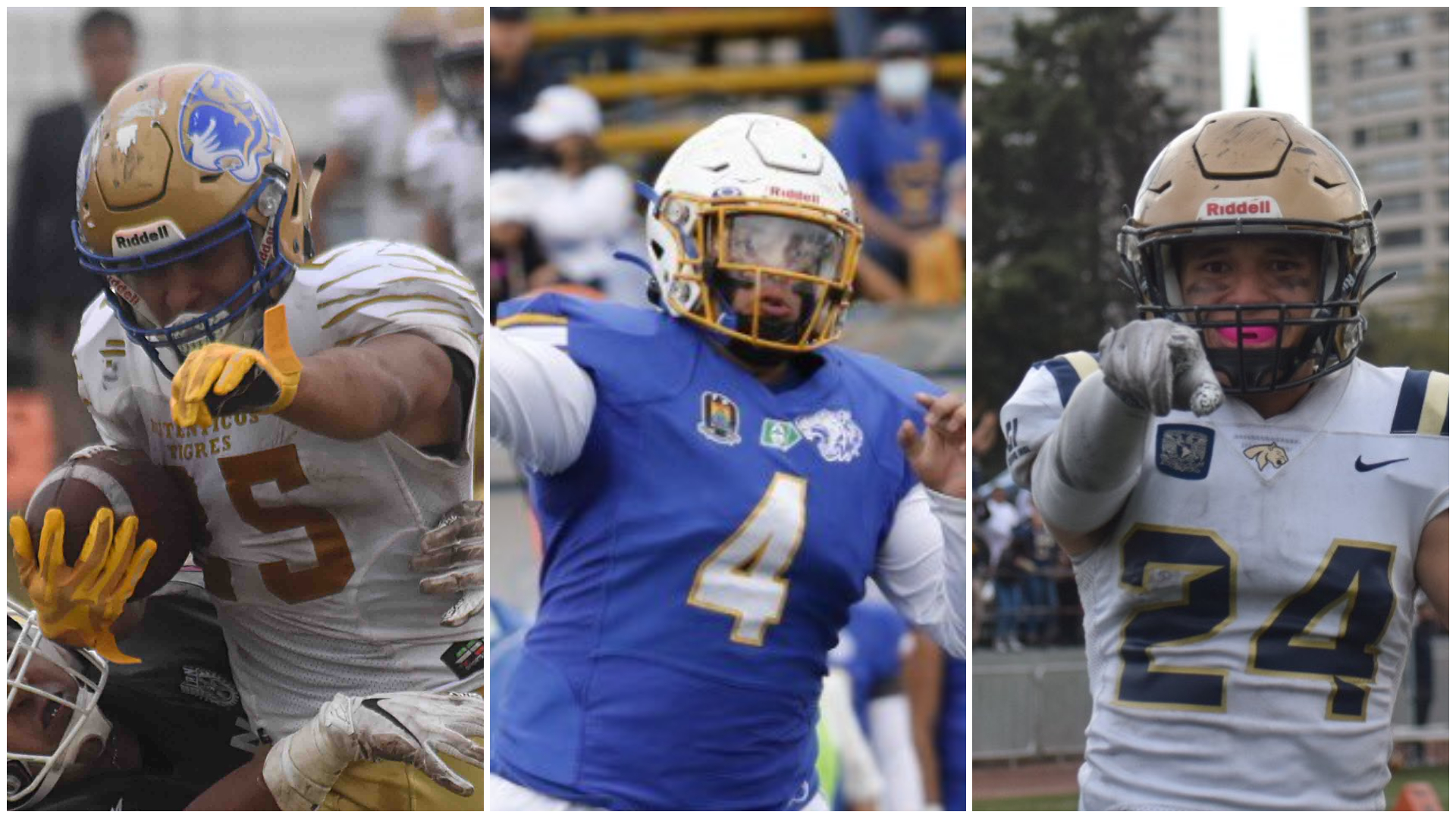 NOS VEMOS LUEGO: Resultados completos Semana 7 Liga Mayor ONEFA | receptor