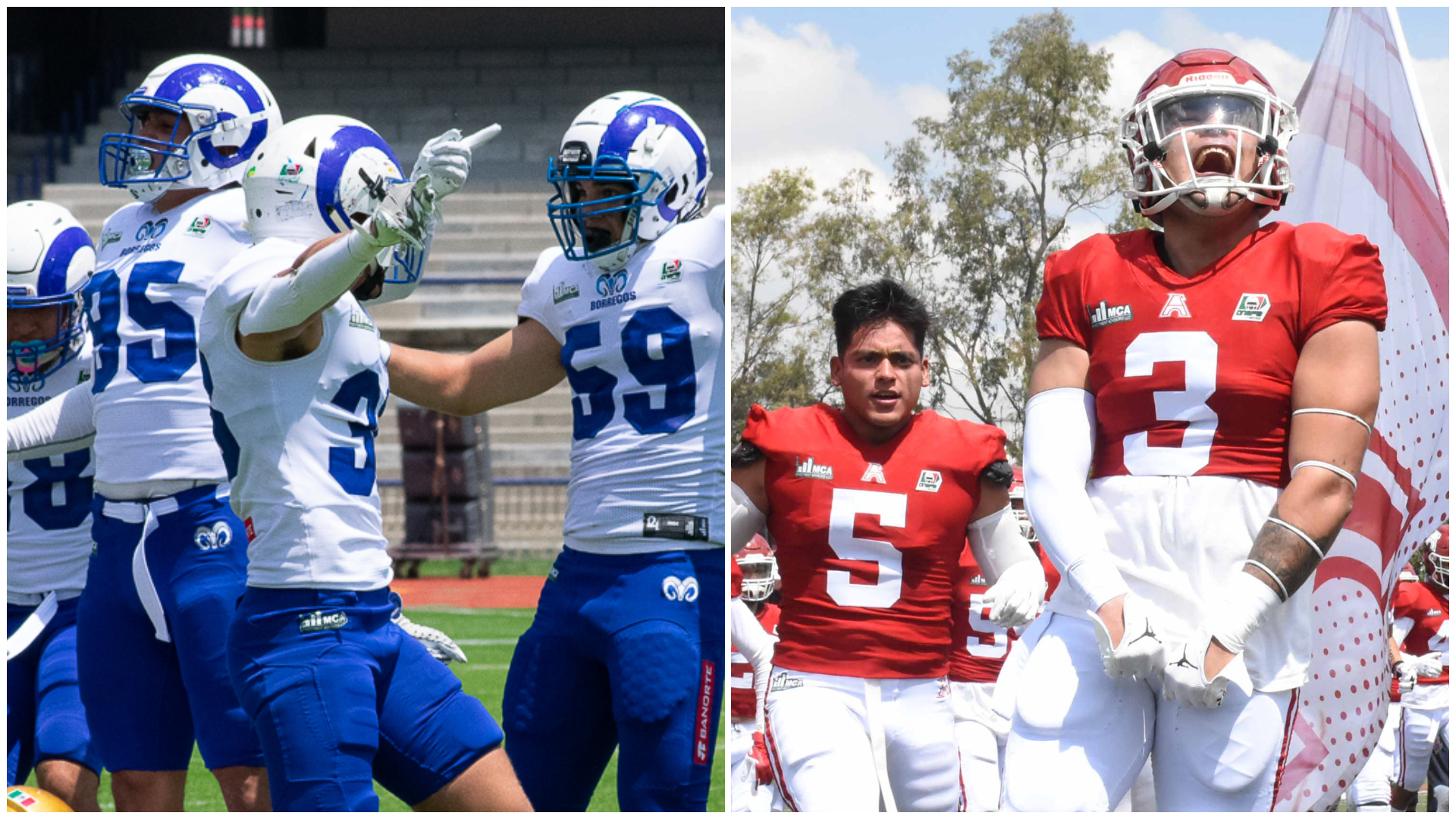 Jornada de definición: Cartelera Semana 6 Liga Mayor ONEFA | receptor